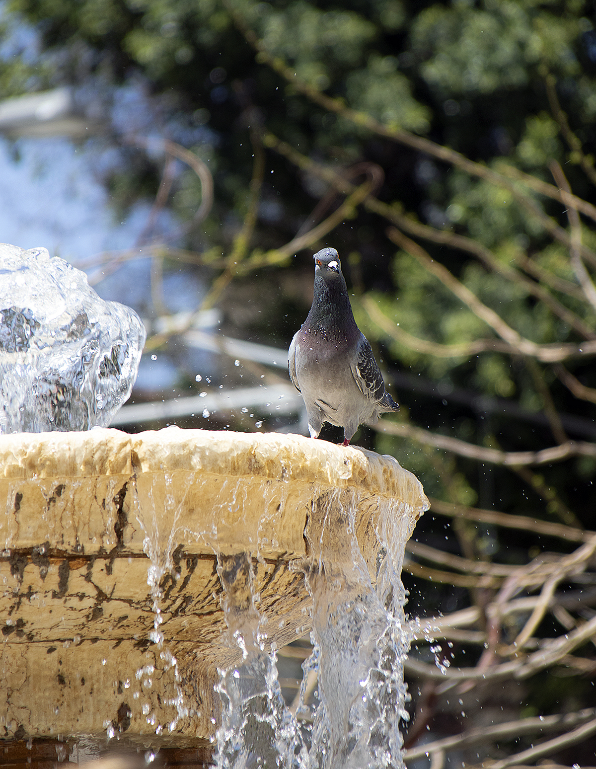 No ururu | Пикабу