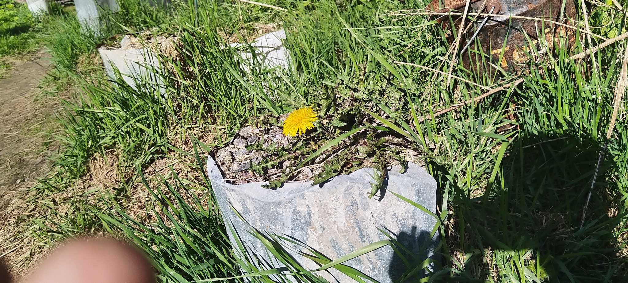 Везде прогнали.. Хоть тут поживу - 16.05.25 10:06 | Пикабу