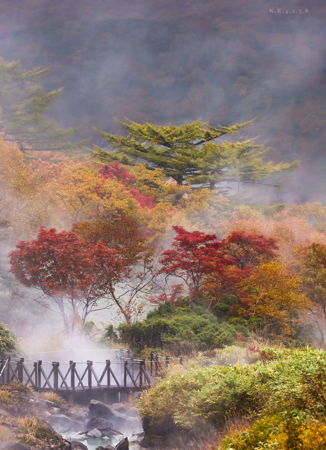 Осень на Итурупе - 05.11.25 15:53 | Пикабу