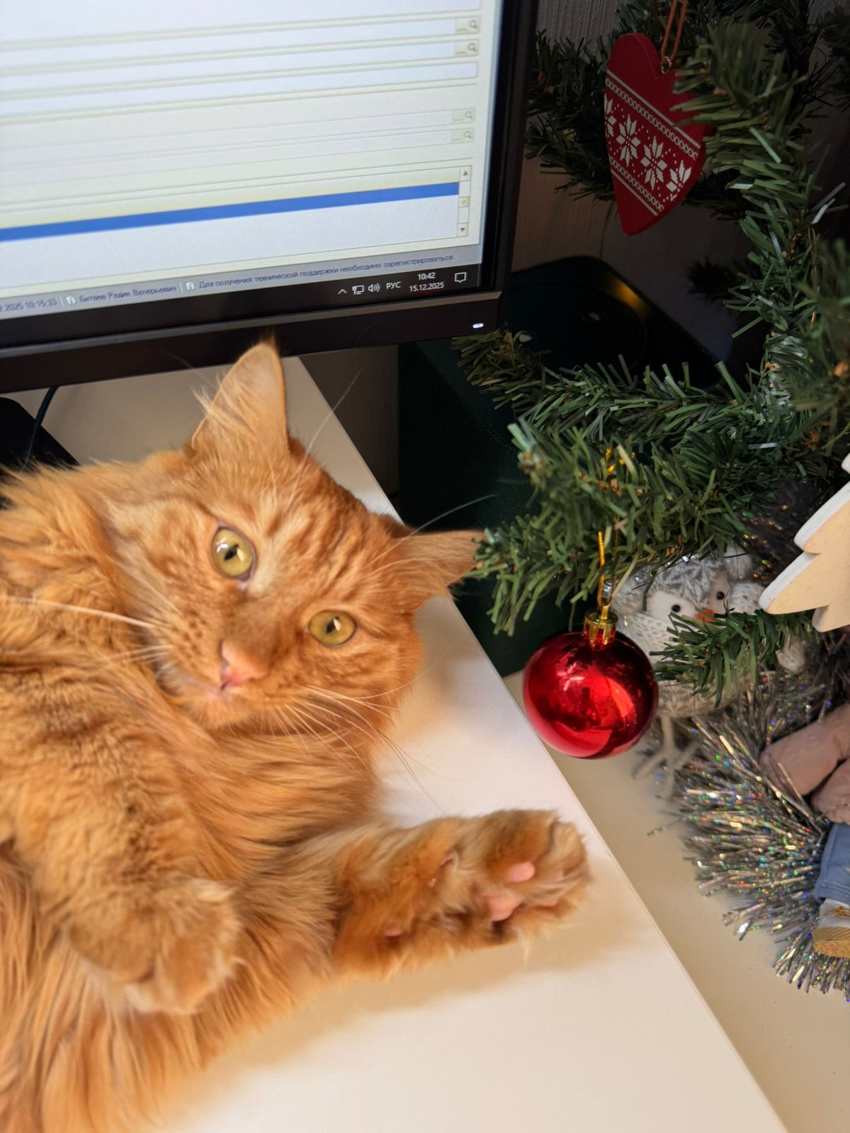 Раз все постят то и я - 16.12.25 09:40 | Пикабу