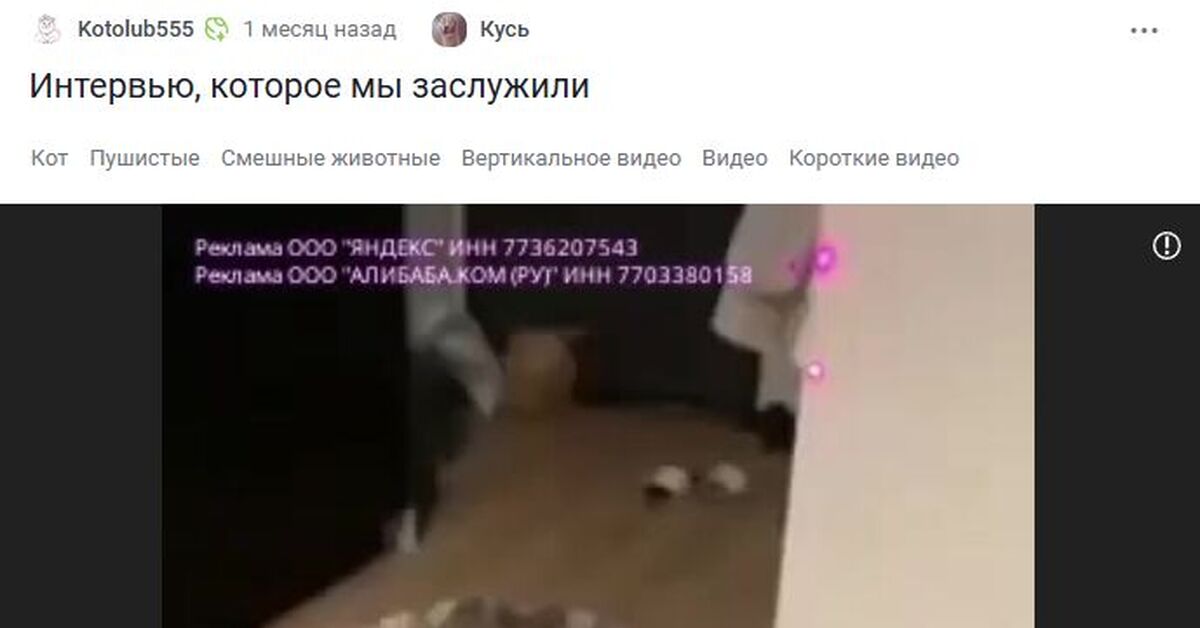 Моя борьба - 16.04.25 12:55 | Пикабу
